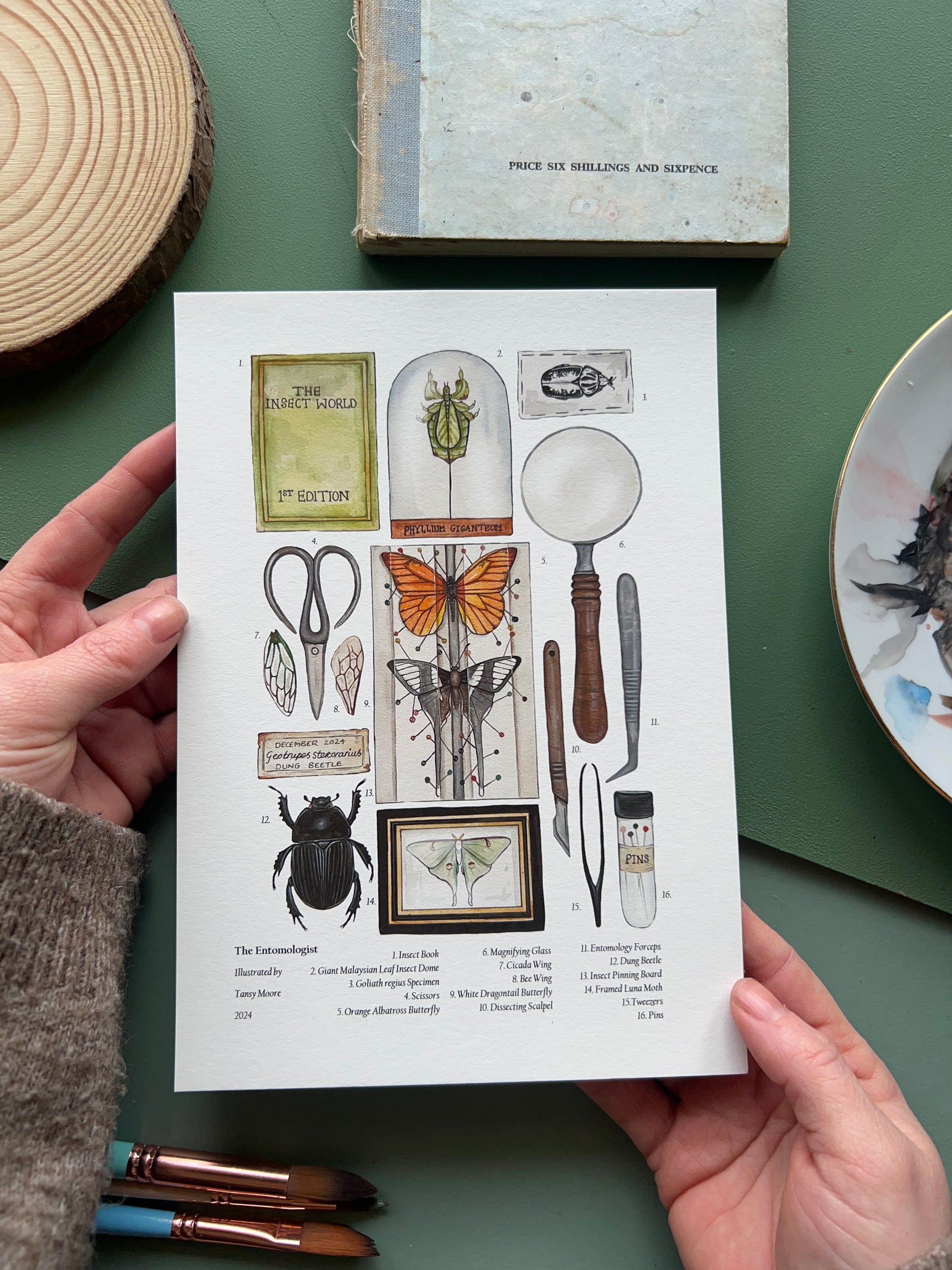 The Entomologist Print – TansyMoore
