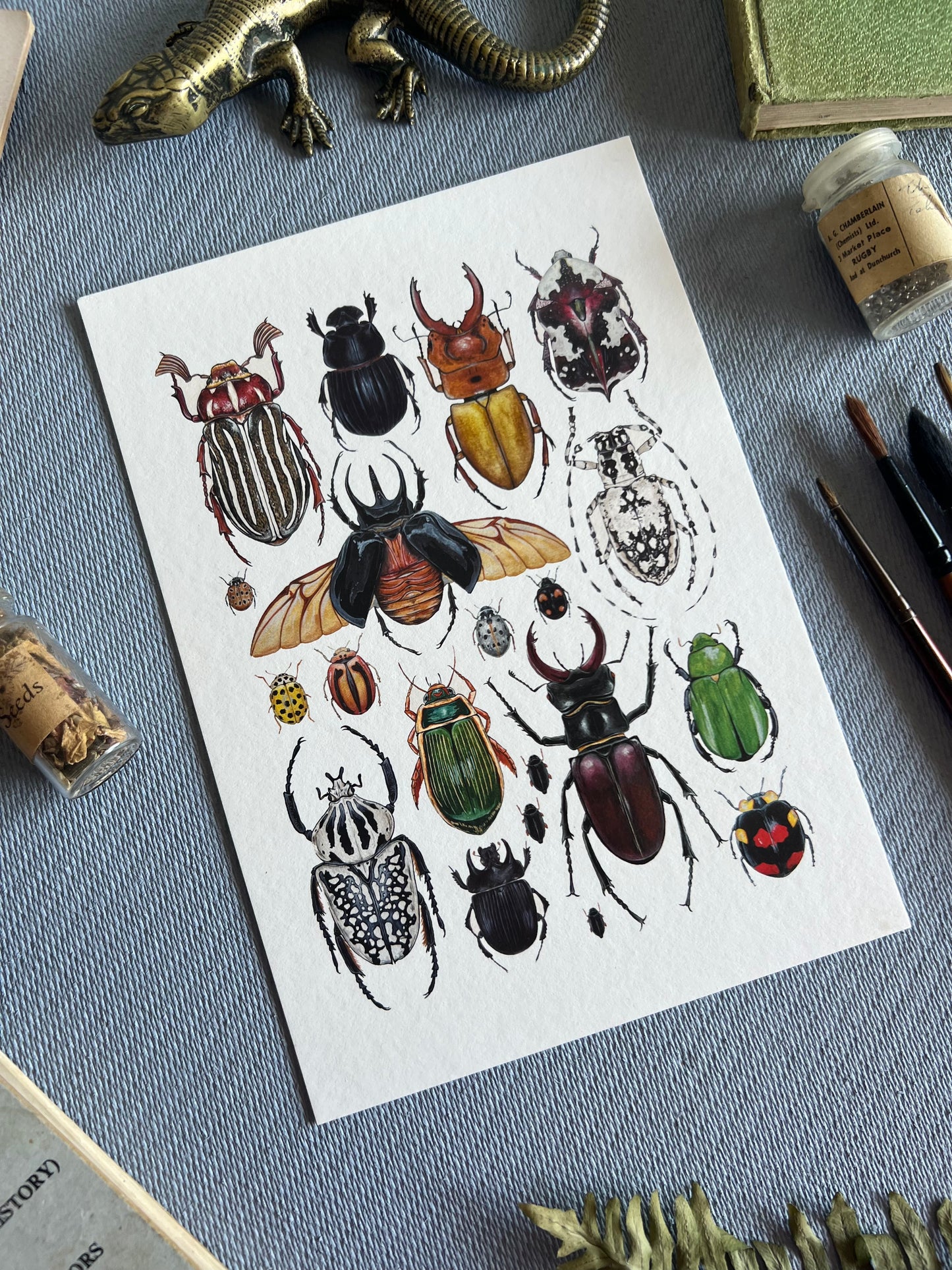 Beetles Print – TansyMoore