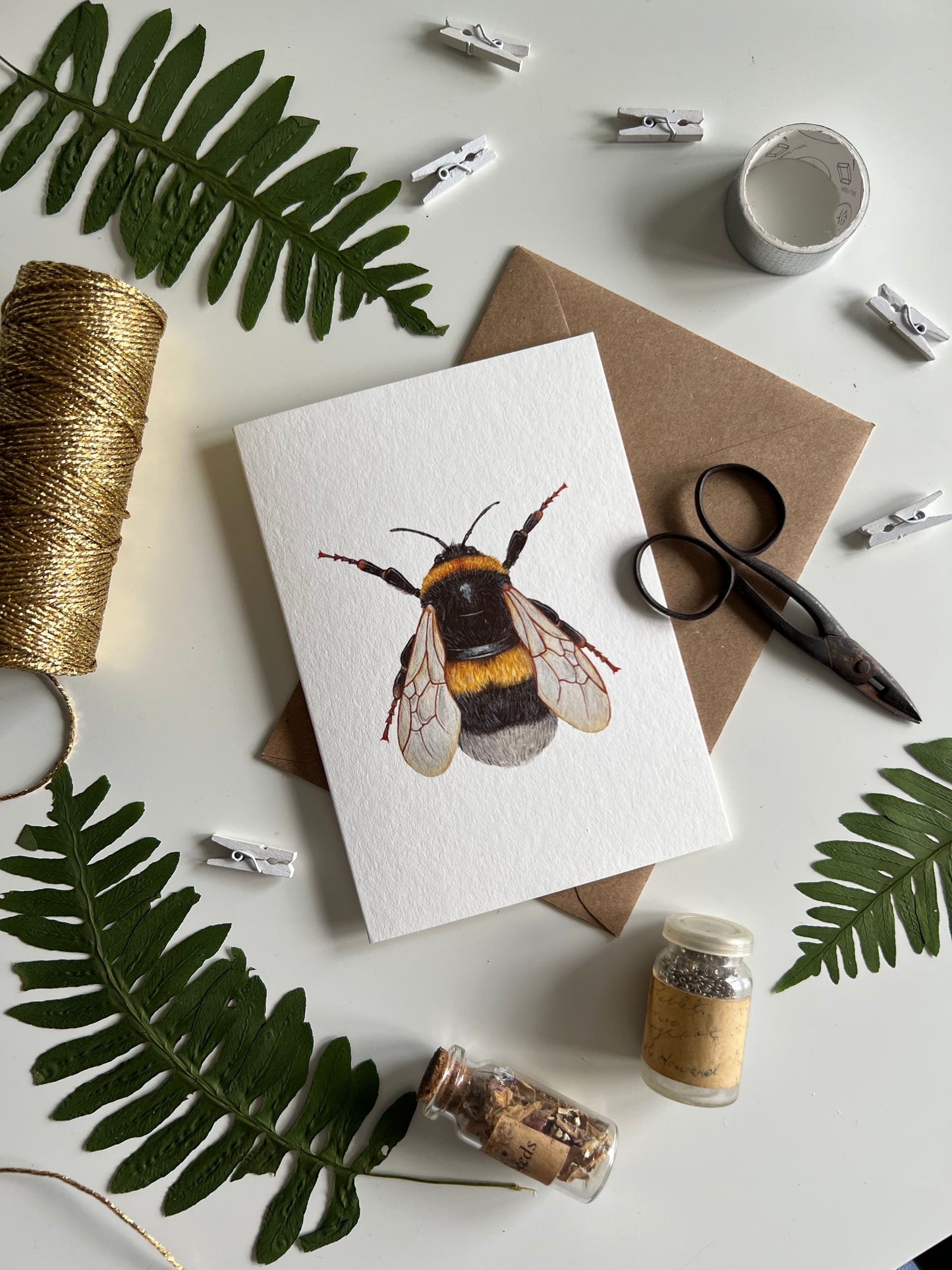 White tailed Bumblebee Card – TansyMoore