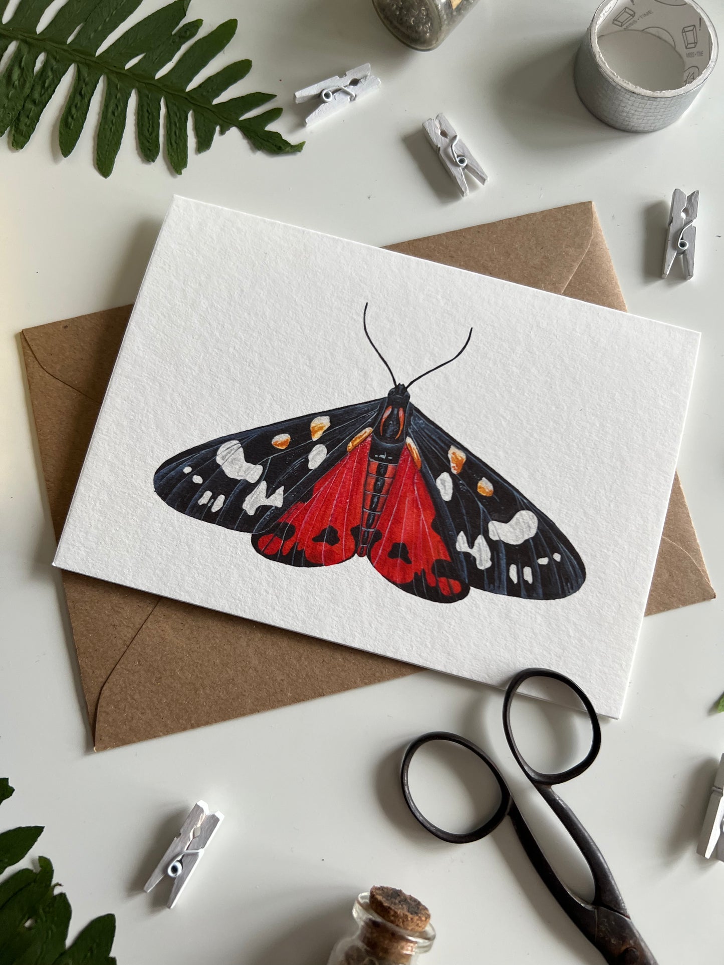 Scarlet Tiger Moth Card – TansyMoore