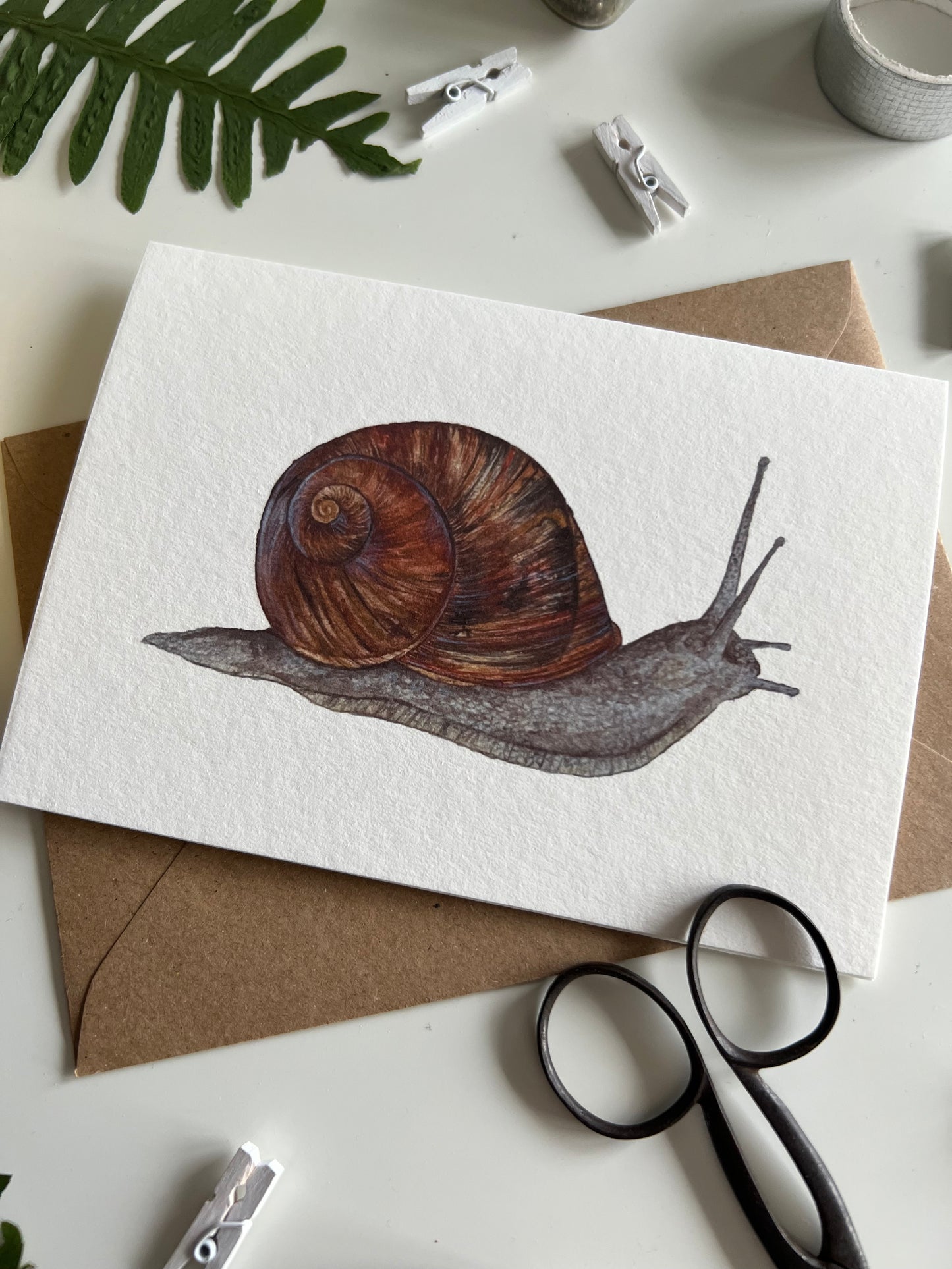 Garden Snail Card – TansyMoore